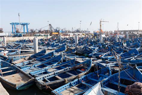 Passatwind Billeder Gennemse 245 Stockfotos Vektorer Og Videoer