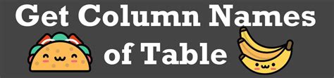 SQL SERVER Get Column Names SQL Authority With Pinal Dave