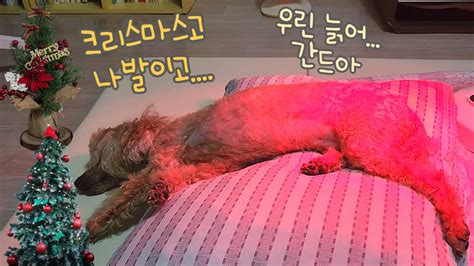 크리스마스고 나발이고 우린 모두 늙어간드아멍로그and일상 브이로그 Youtube
