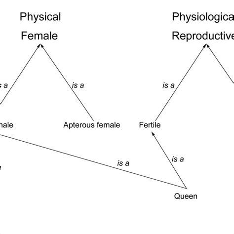 Schematic Relational Structure Combining Two Distinct Conceptual Download Scientific Diagram