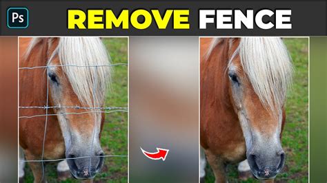easily remove fence photoshop tutorial youtube