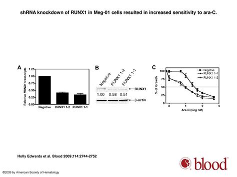 Runx1 Regulates Phosphoinositide 3 Kinaseakt Pathway Role In