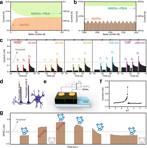 Logic Spatiotemporal Correlation And Learning In Rt Pvk Artificial