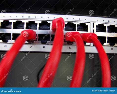 Networking Patch Panel And Cables Stock Image Image Of Close Plug 2018589