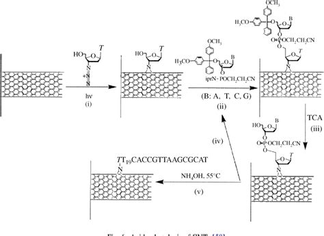 Figure 6 From A Review Of Dna Functionalizedgrafted Carbon Nanotubes