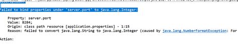 Spring Descriptionfailed To Bind Properties Under Serverport To