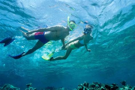 The 15 Best Caribbean Resorts For Snorkeling Addicted To Vacation