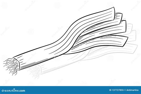 Drawn Cartoon Leek Stick 137727855