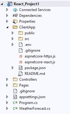 Reactjs How To Combine Separate Front End React Js Cra And Back End Asp Net Core