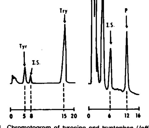 Figure 1 From Liquid Chromatographic Quantification Of Plasma Phenylalanine Tyrosine And