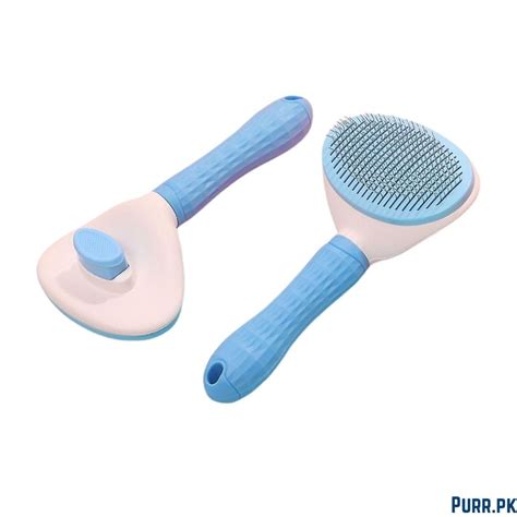 Button Brush Round Price In Pakistan Buy Online Now