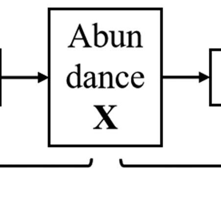 Typical Autoencoder Network Architecture In Hyperspectral Unmixing