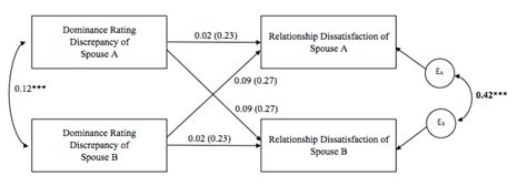 Graphical Presentation Of The Apim With Standardized Parameter