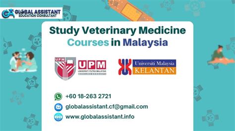 Veterinary Medicine Courses In Malaysia
