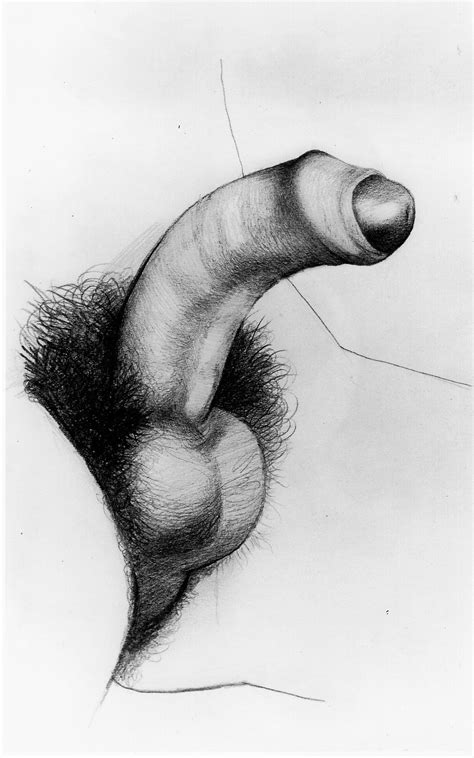 Penis Sketch From Sex For One Betty Dodson Carlin Ross