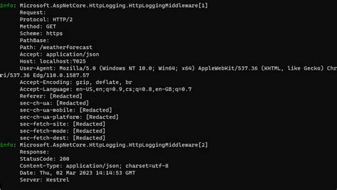 add custom format support to logging middleware · issue 46989