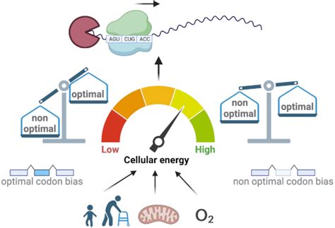 EMBO Molecular Medicine