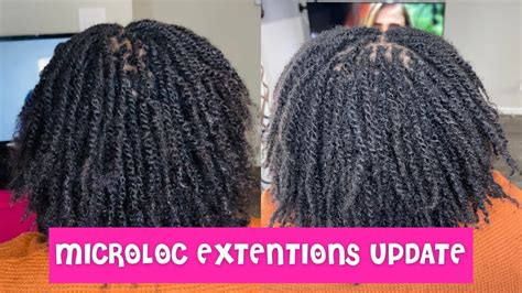 Microlocs With Extensions Update I Microlocs Journey Youtube