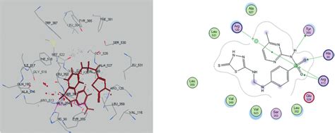 3d Binding Interactions Of 13e With The Active Site Amino Acids Of