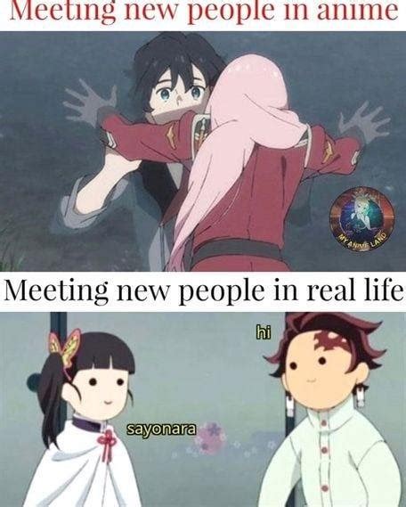 Me Being An Introvert And A Weeb Its True Hahaha Ranimememes