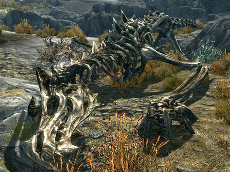 Dragon Skeleton Skyrim