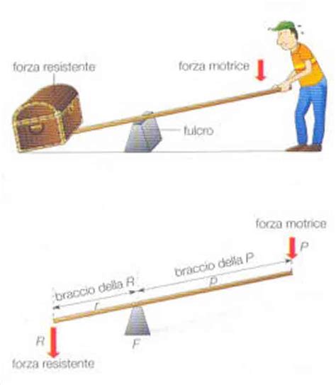 Leve