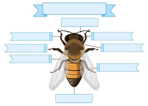 Hoja De Trabajo De Abejas Rompecabezas De Laberinto Para Niños