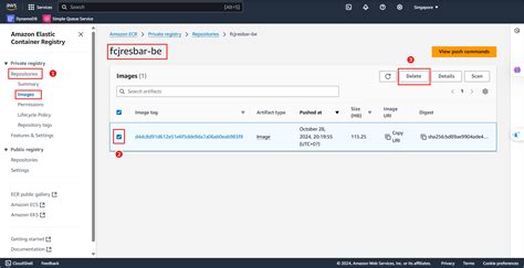 delete resources in ecs and ecr deploy applications with ci cd