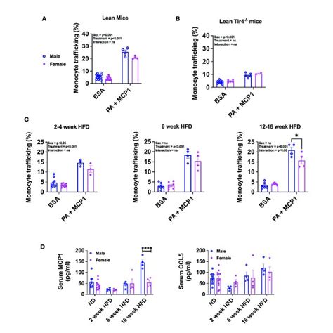 Sex Differences In Migration Efficiency Of Monocytes With Hfd