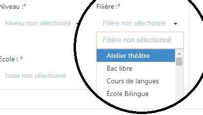 Javascript Angular Ng Select SelectedItems Map Is Not A Function Stack Overflow
