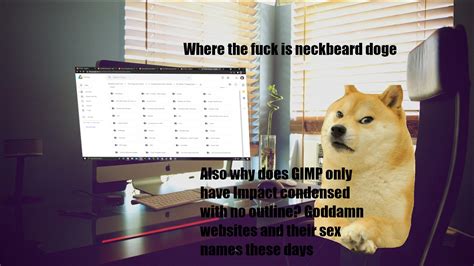 Le Pain Of A First Time Dogelore Poster Has Arrived Rdogelore