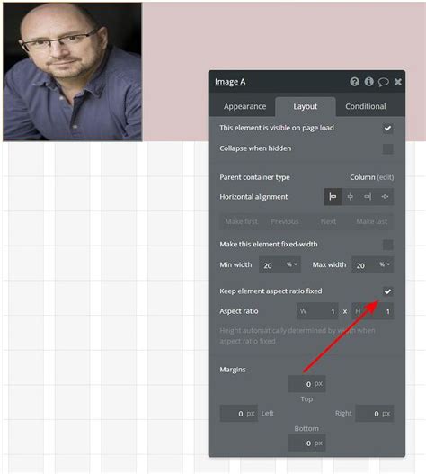 Why Is Image Aspect Ratio Not Being Fixed Need Help Bubble Forum