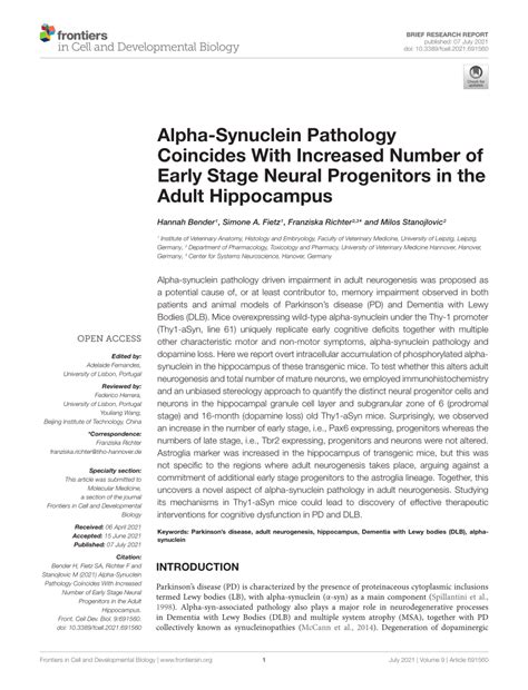 Pdf Alpha Synuclein Pathology Coincides With Increased Number Of