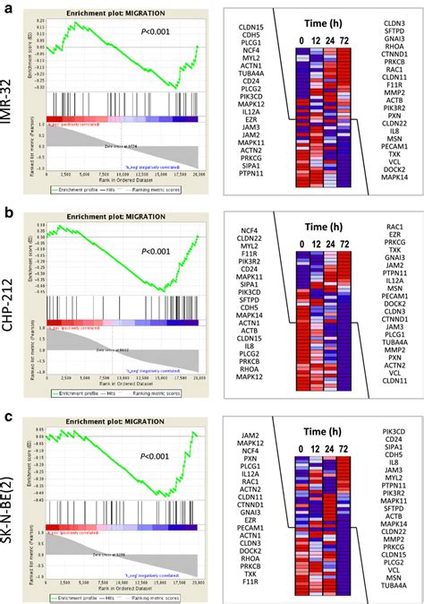 Foxp1 Down Regulates Genes Involved In Migration Gene Set Enrichment Download Scientific