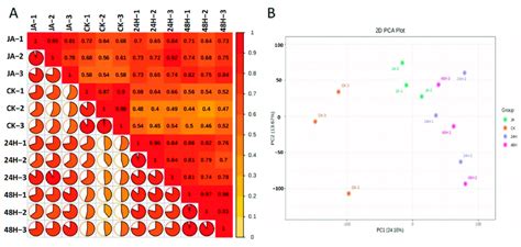A Isoform Length Distribution Diagram B Transcript Annotated