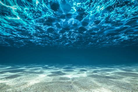 Ocean Floor Wallpapers 4k Hd Backgrounds On Wallpaperbat