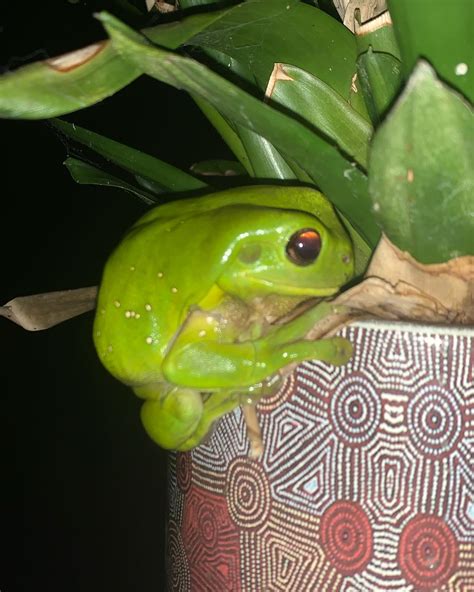 Pete Wright Petewright1111 • Instagram Photos And Videos