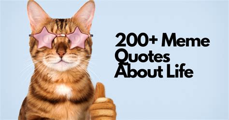 200 Meme Quotes About Life That Are Way Too Relatable Marketing Case