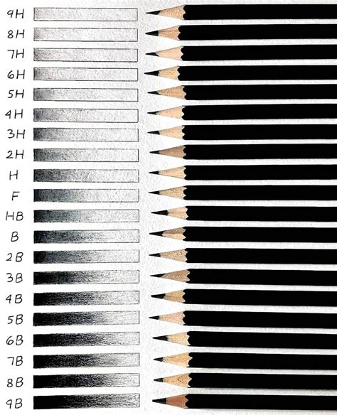 El Cerebrito Sabías Esto Facebook