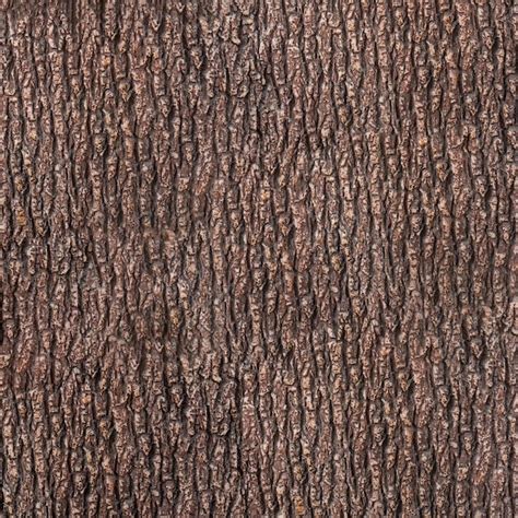 Premium Photo Tree Trunk Texture Natural Forest Tree Trunk Texture Background