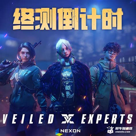 幕后高手鲜牛加速器助力游戏流畅体验 【鲜牛加速器 官方网站】