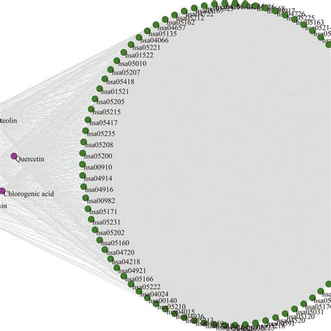 ingredient pathway interaction ipi network purple nodes indicate