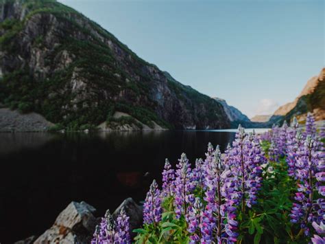 Куда выгодно съездить отдохнуть на майские праздники — Яндекс Путешествия