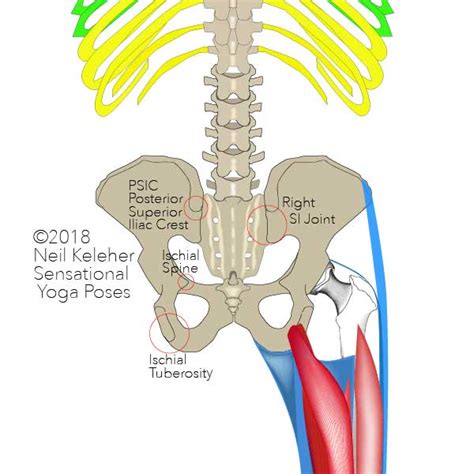 Single Side SI Joint Stability