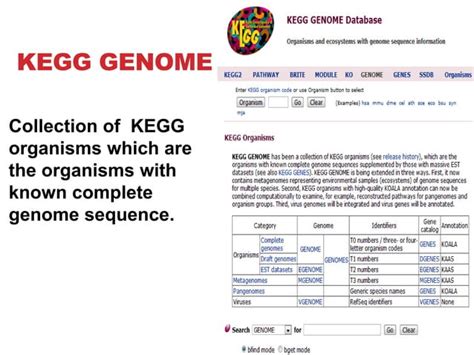 Kegg Database Resources Pptx