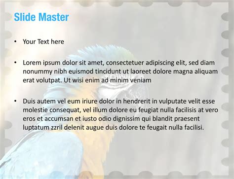 Parrot Powerpoint Templates Parrot Powerpoint Backgrounds Templates For Powerpoint