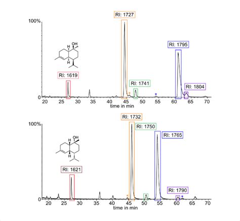 Tic And Gas Chromatographic Kovats Retention Indices Ri 24 Values Download Scientific Diagram