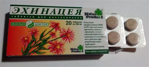 Эхинацея для детей – полезные свойства, противопоказания. Эхинацея для ...