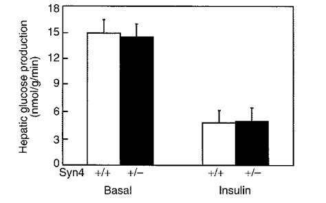Hgp During Hyperinsulinemic Euglycemic Clamp Procedure In Awake Mice