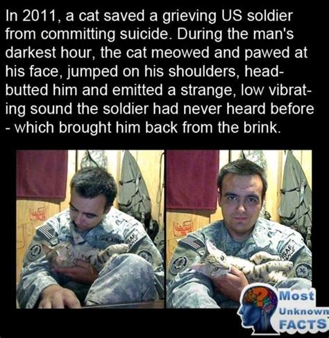 Amit Kumar On Linkedin Learningandgrowing Learningeveryday Learnbydoing Todaypost Today